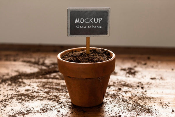 Home Gardening Arrangement With Plant Frame Mock-Up Psd - Mockup Hunt